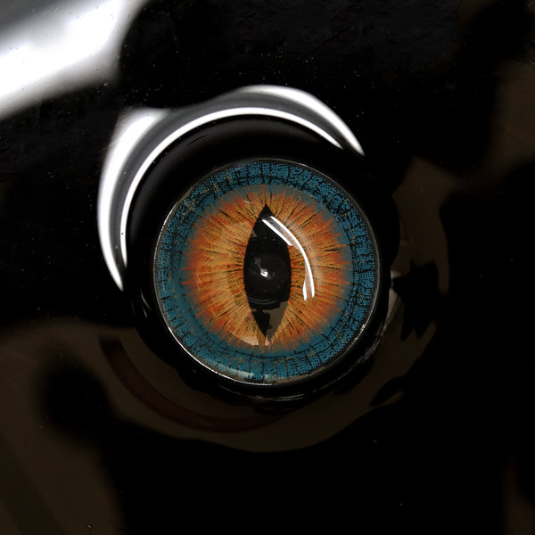 Princess Pinky Brown Lizard Mini Sclera | PinkyParadise